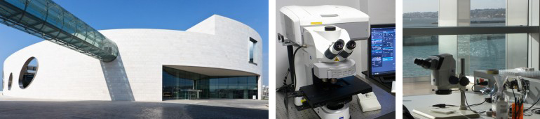 iLab Organizer :: Champalimaud ABBE Platform - Advanced BioImaging and ...