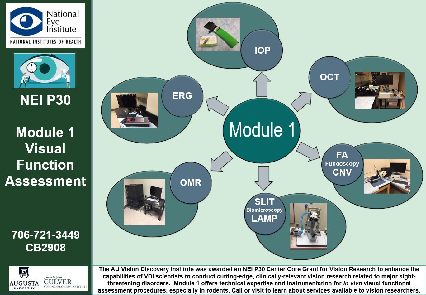 iLab Organizer :: Visual Function Assessment Core